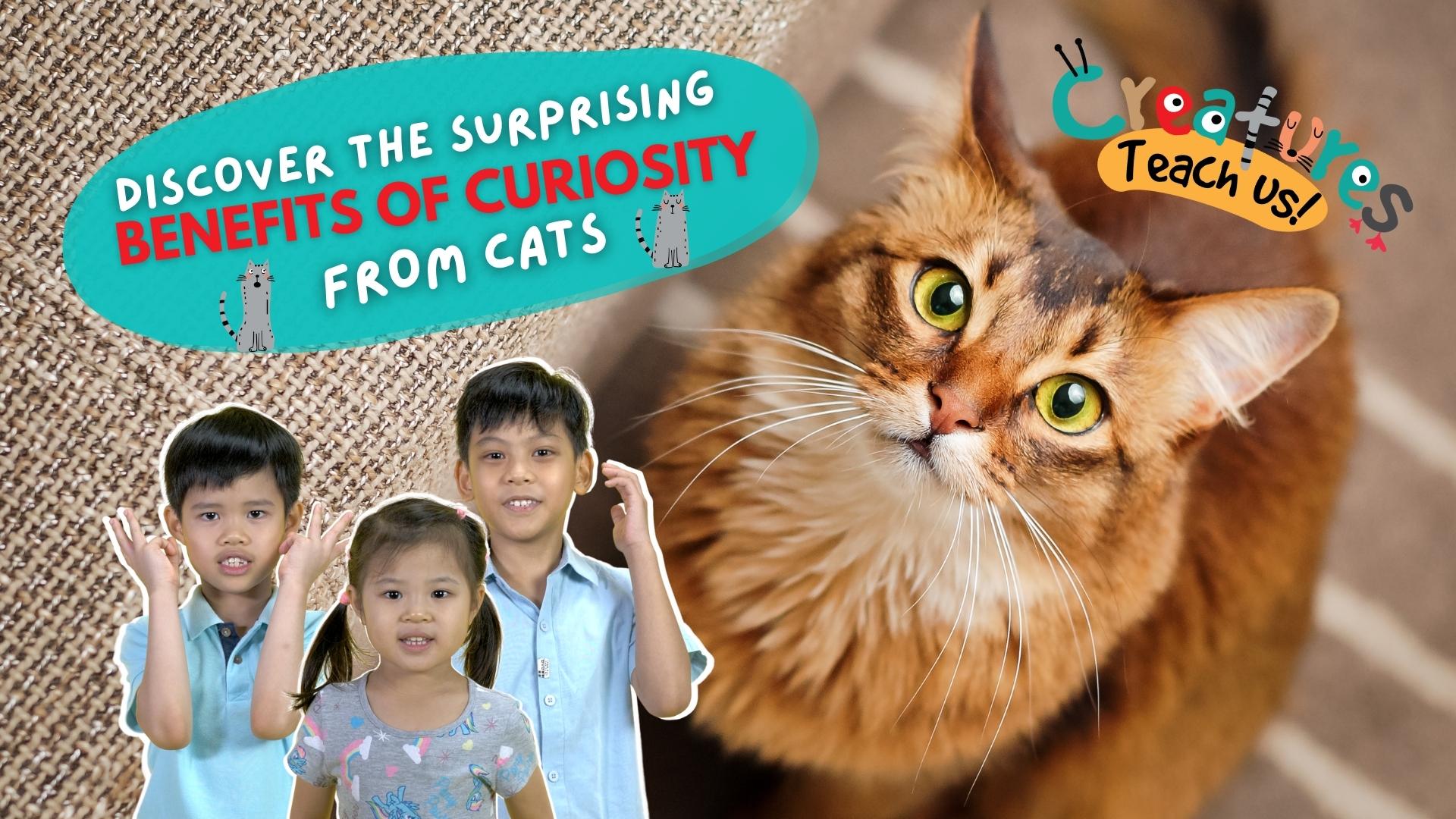 CATS: Curious Desire to Learn - Hope Channel Singapore
