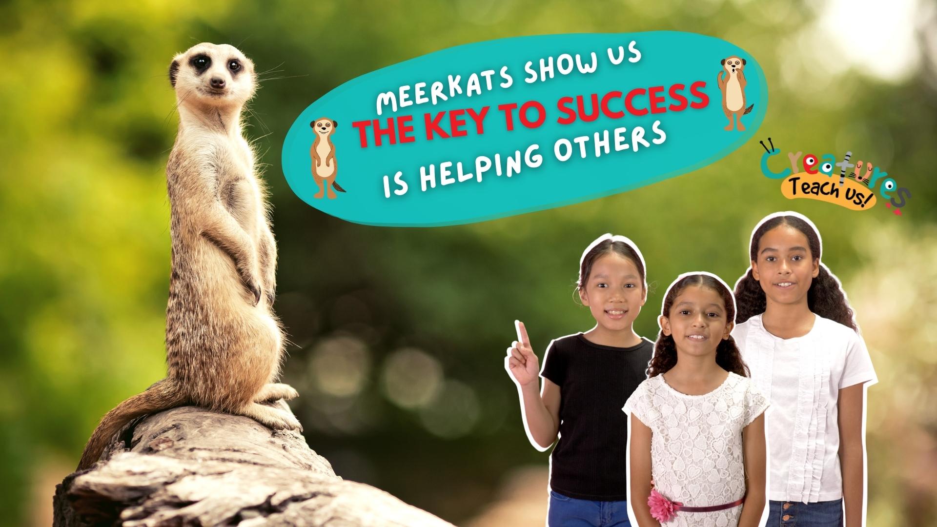 MEERKATS: Working Together Makes things Better - Hope Channel Singapore