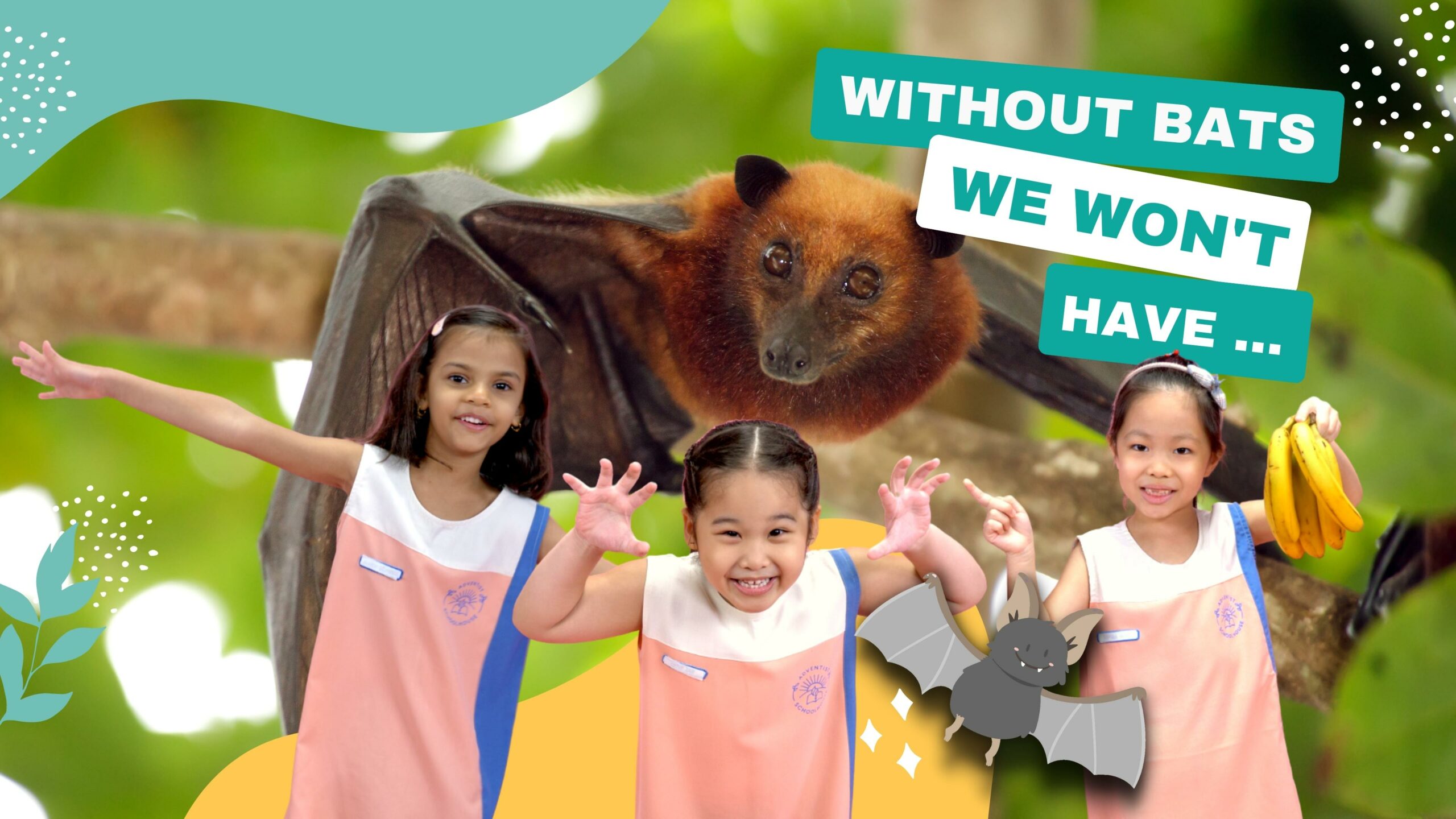 BAT: The importance of gaining different perspectives - Hope Channel ...