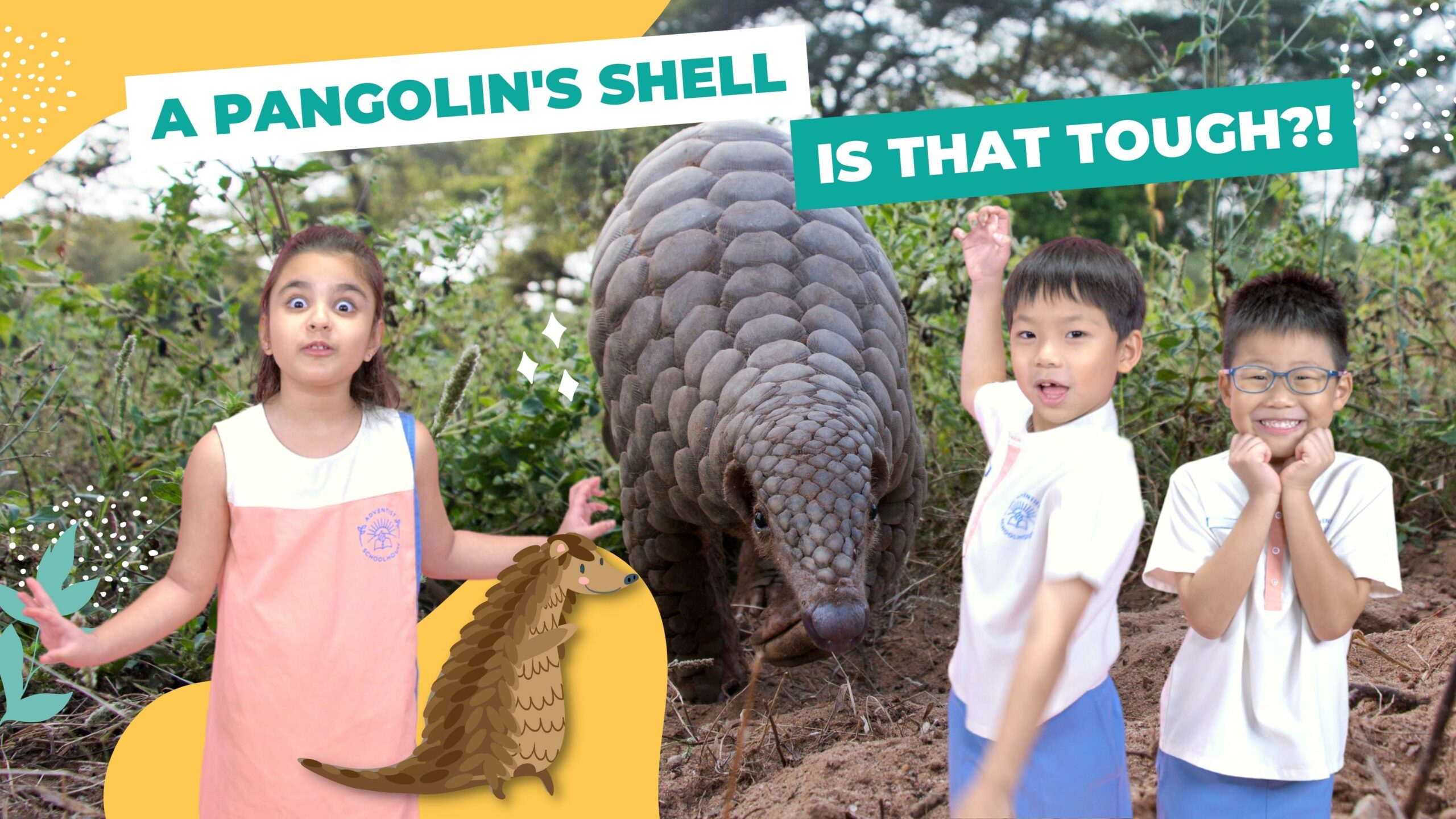 PANGOLIN: Believing in ourselves … even when kids are mean - Hope ...